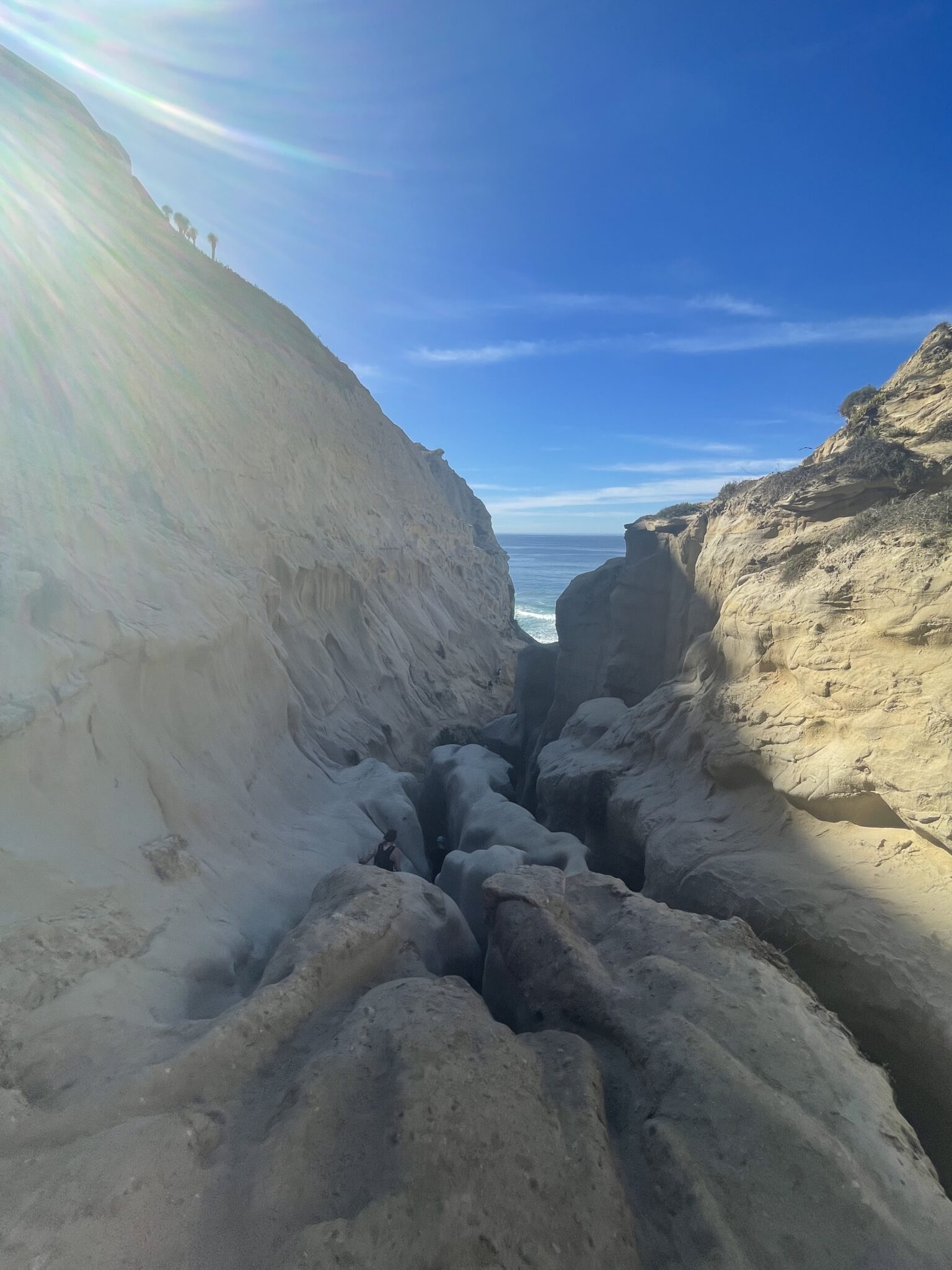 2025 Travel Calendar: Maximize Your Vacation Days - Window Seats Only